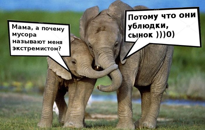 С Л О Н и АСАВ — экстрэмізм — Прамень